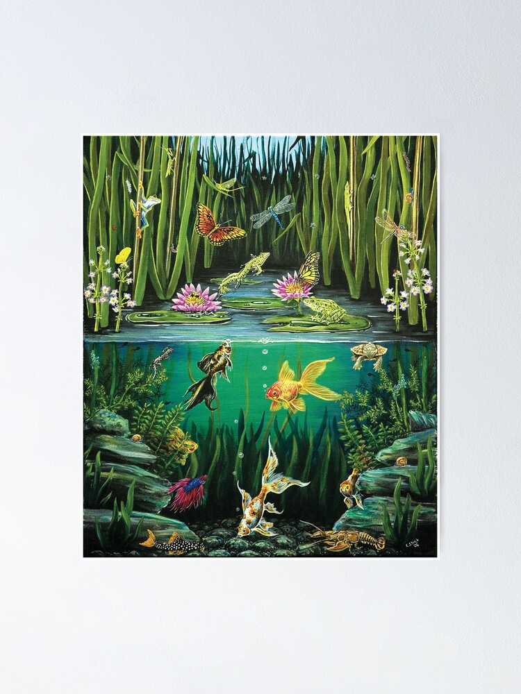 "Backyard Pond" Poster for Sale by L1zard- | Redbubble