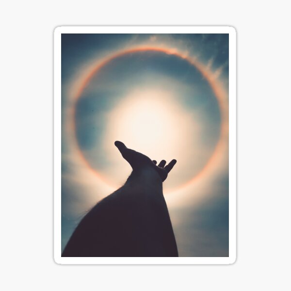 "Thank you, & help" Sticker for Sale by RiverMonroe | Redbubble