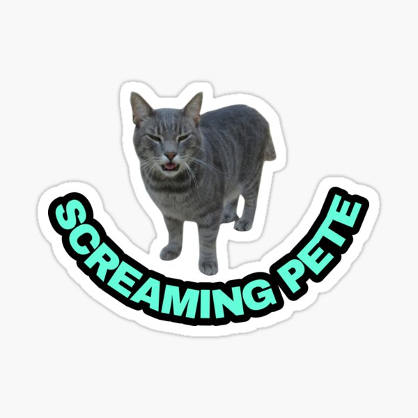 ScreamingPetes Shop | Redbubble