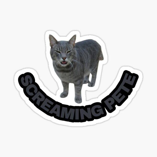 ScreamingPetes Shop | Redbubble