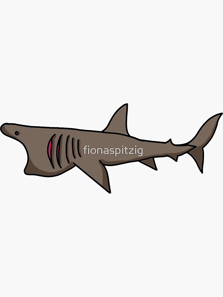 "Basking Shark" Sticker for Sale by fionaspitzig | Redbubble