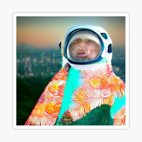 "Spaceman Spliff" Sticker for Sale by achingimagine | Redbubble