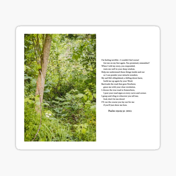 "Psalm 119" Sticker by dannieann | Redbubble