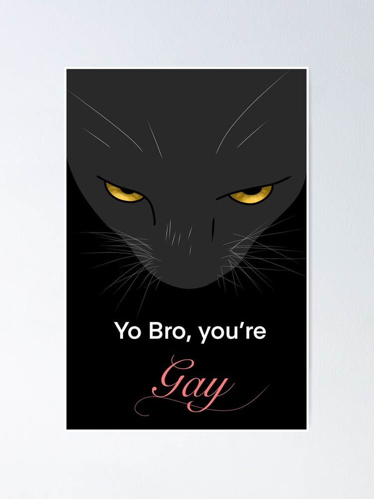 "Yo Bro, You’re Gay" Poster for Sale by EB--EM | Redbubble