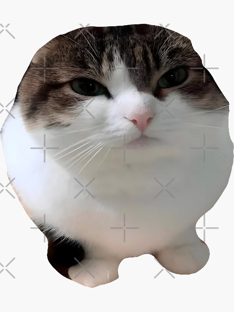 "WAWA CAT" Sticker for Sale by da-swag-shop | Redbubble