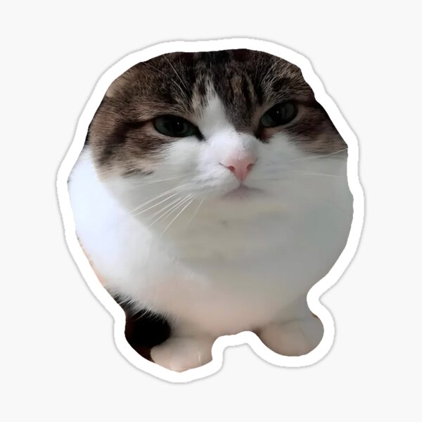 "WAWA CAT" Sticker for Sale by da-swag-shop | Redbubble