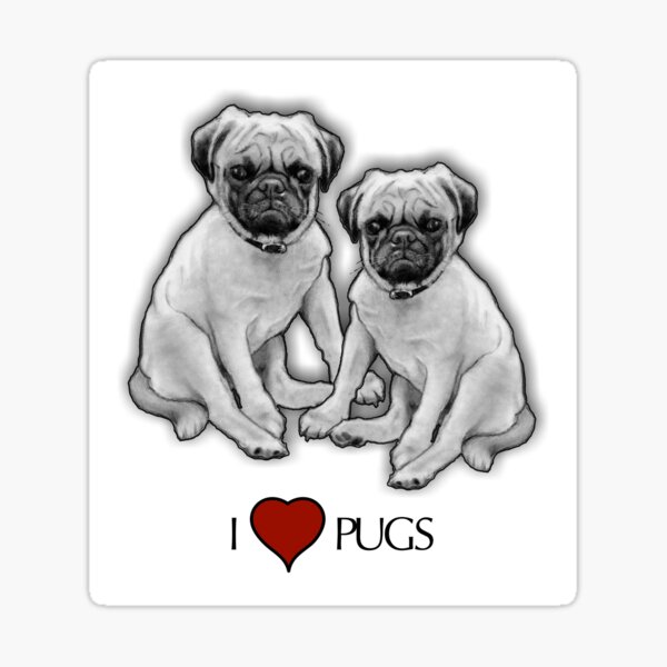"I Love PUGS: Pencil Drawing of Two Pug Dogs" Sticker by Joyce | Redbubble