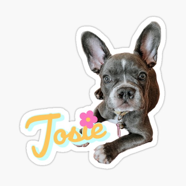 "Josie" Sticker for Sale by AndraJoanne | Redbubble