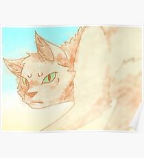 Warrior Cats: Posters | Redbubble