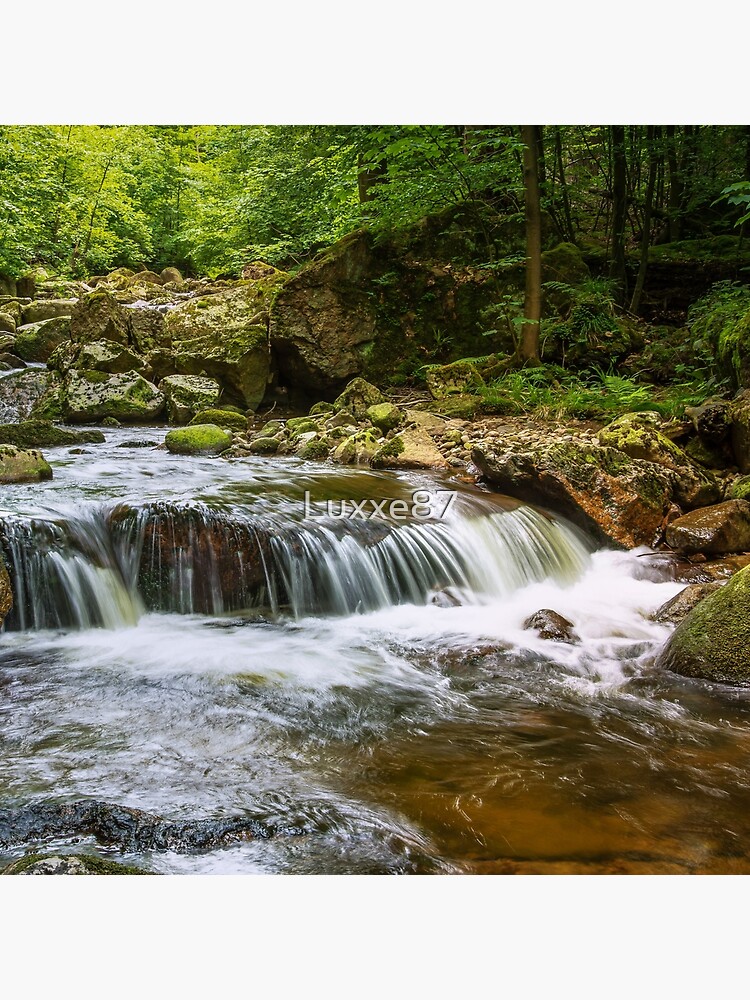 "Shallow Rainforest Waterfall" Poster for Sale by Luxxe87 | Redbubble