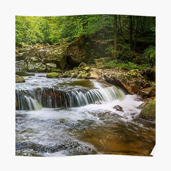 "Shallow Rainforest Waterfall" Poster for Sale by Luxxe87 | Redbubble