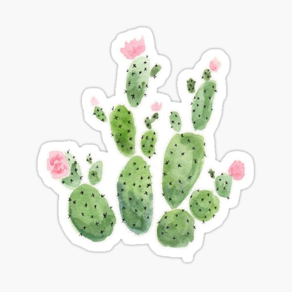 "Cacti + blooms" Sticker for Sale by raylenesolis | Redbubble