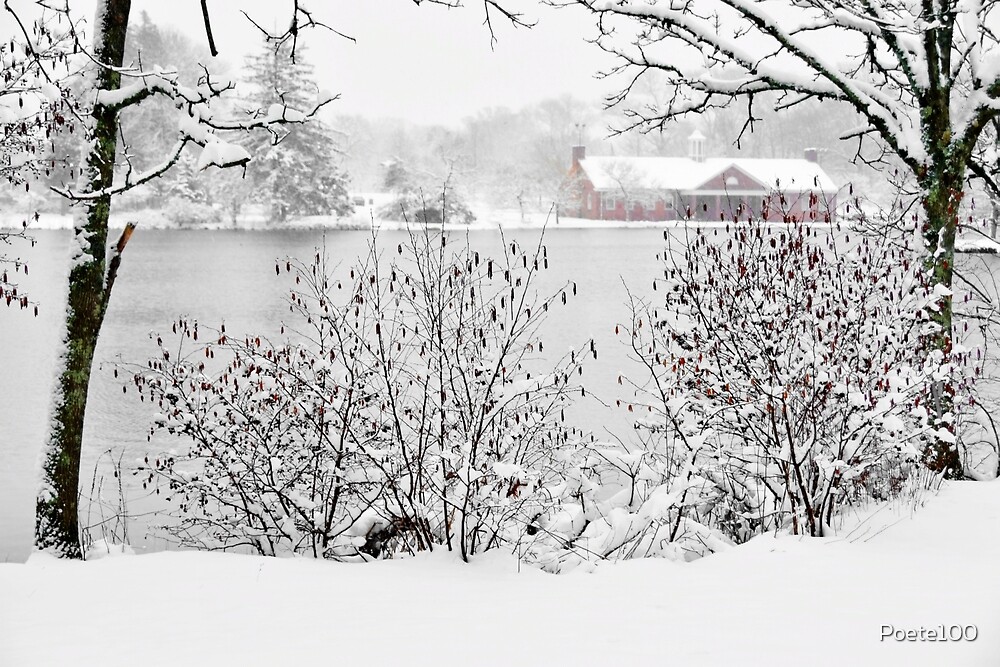 "March Madness....." by Poete100 | Redbubble