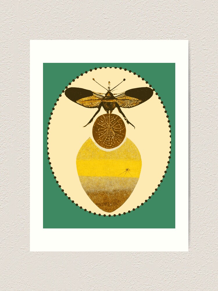 "Vintage bug, creepy cute insect, Occult Retro Surrealism" Art Print ...
