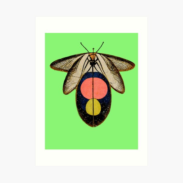 "Vintage bug, creepy cute insect, Occult Retro Surrealism" Art Print ...