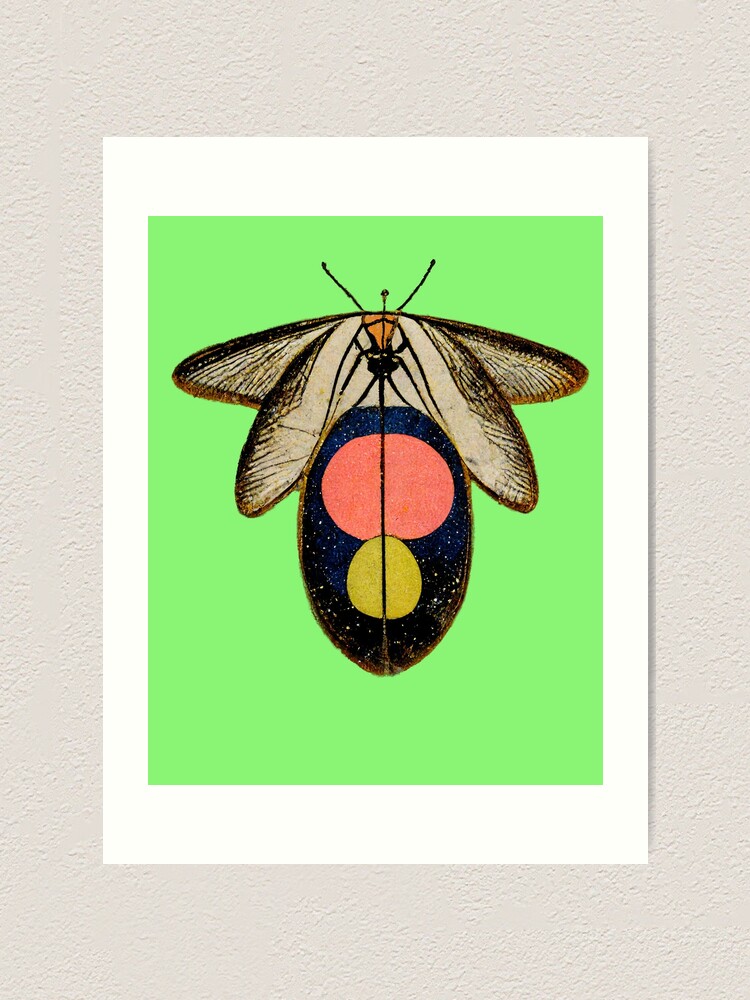 "Vintage bug, creepy cute insect, Occult Retro Surrealism" Art Print ...