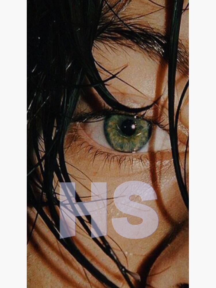 "HS1 " Sticker for Sale by bookstuff | Redbubble
