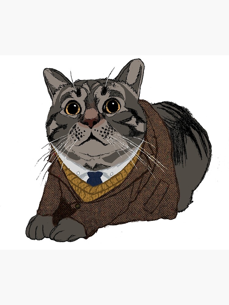 "Professor Chancho Fluffy Cat" Poster for Sale by lemonsavior | Redbubble