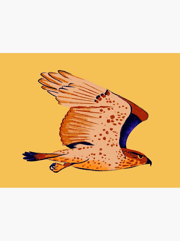 "Flying Hawk" Poster for Sale by Mrs-Otter | Redbubble