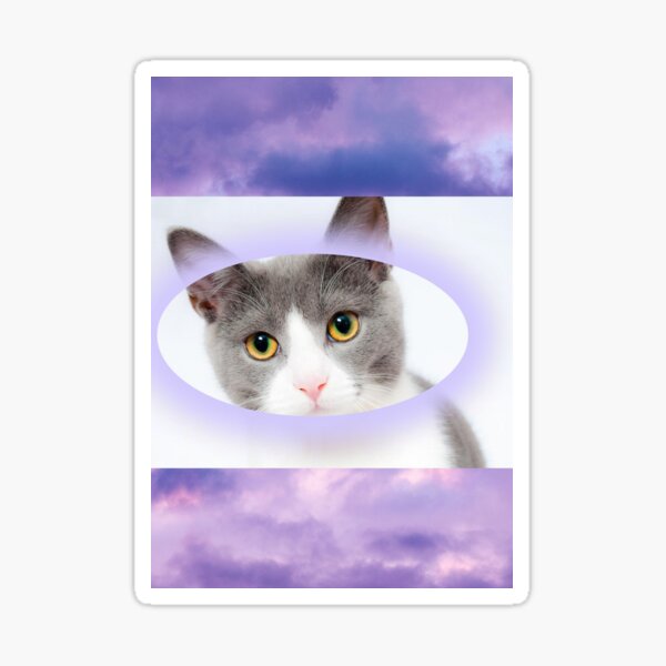 "Hello Cutie" Sticker for Sale by Nkiness | Redbubble