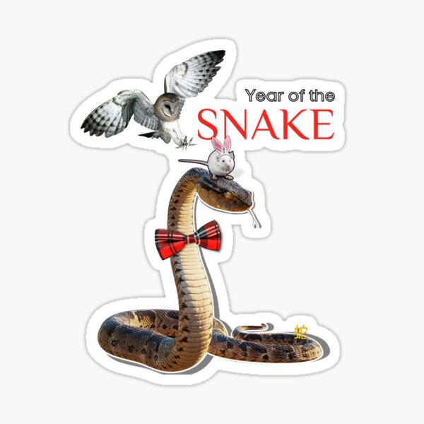 "Year of the Snake, Chinese Zodiac Astrology sign, 2025, 2013, 2001 ...