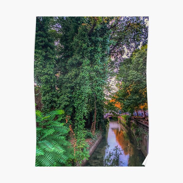 "Green Nature Trees Plants Leaves Vegetation River" Poster for Sale by ...