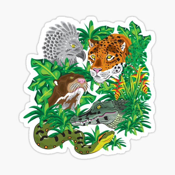 "Amazon - top predators" Sticker for Sale by samchandra | Redbubble