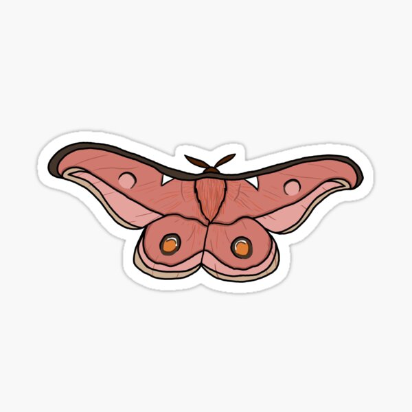 "Pink Moth" Sticker for Sale by grayceebabyyy | Redbubble