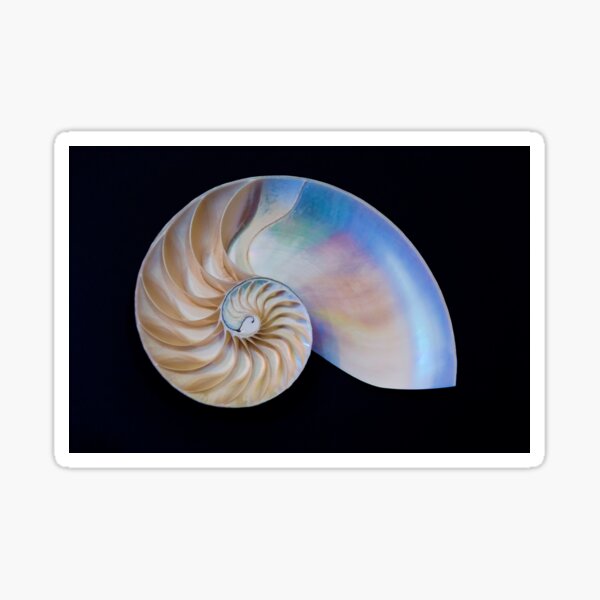 "Inside The Nautilus" Sticker for Sale by JoeGeraci | Redbubble