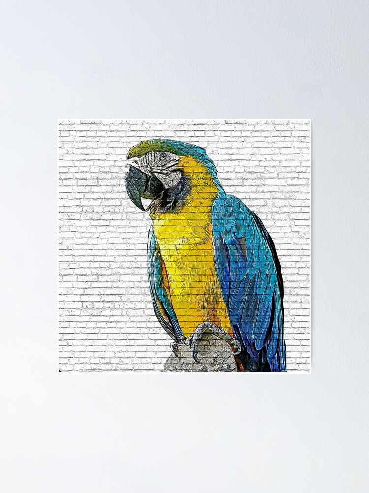 "Beautiful Blue and Yellow Macaw - Brick Block Background - Custom Pet ...