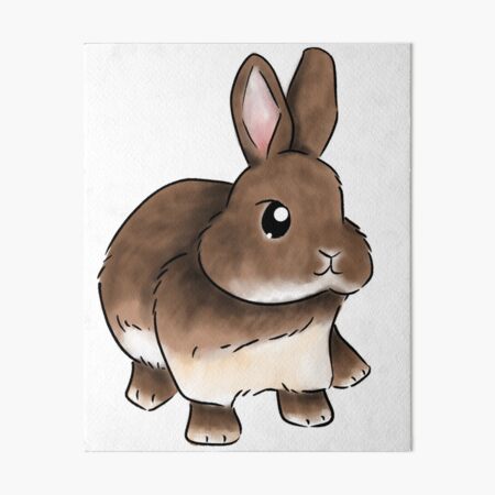 "Chesnut Netherland Dwarf Rabbit " Art Board Print for Sale by ...