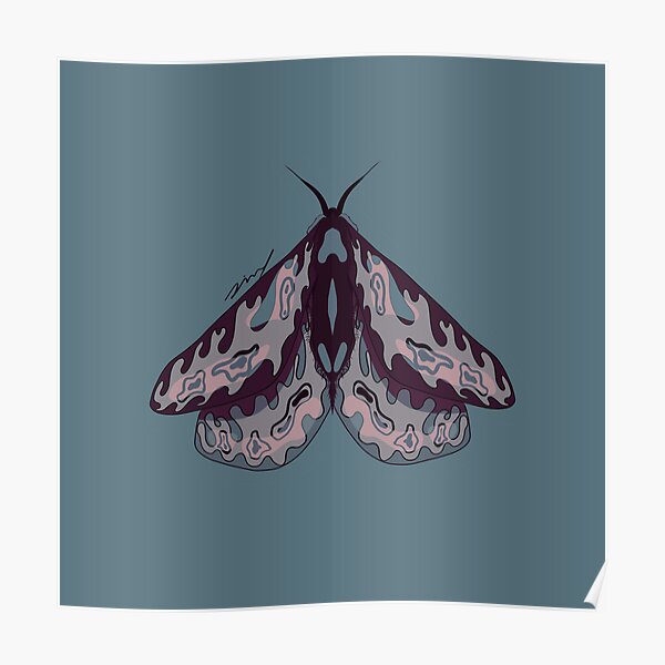 "Slime moth (mocha palette)" Poster for Sale by jaya-jaaaxon | Redbubble