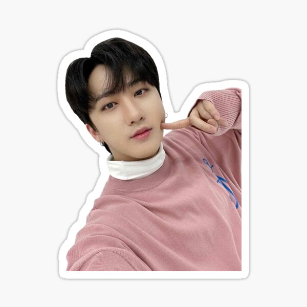 "Pink Cheek Changbin Stray Kids " Sticker for Sale by holandmol | Redbubble