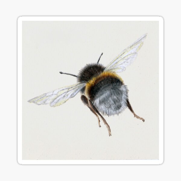 "Cute little flying bumble bee" Sticker for Sale by rosemarydrawing ...