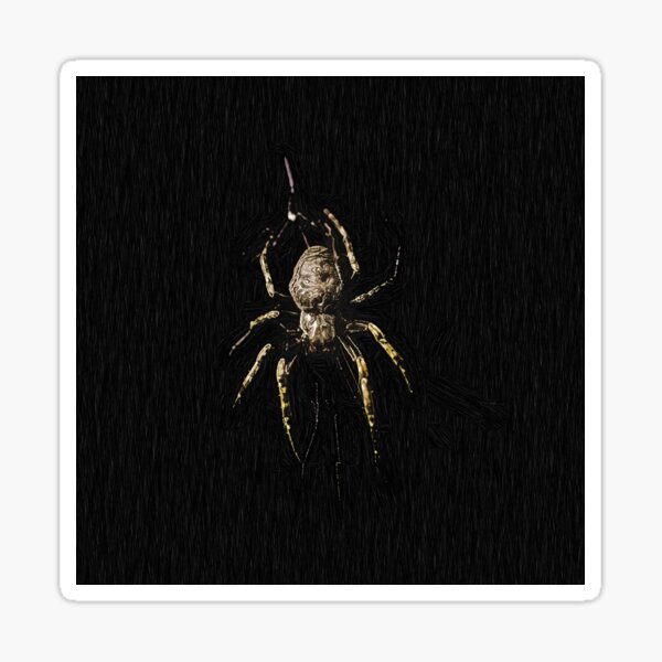 "Black Spider " Sticker for Sale by Printableshop7 | Redbubble