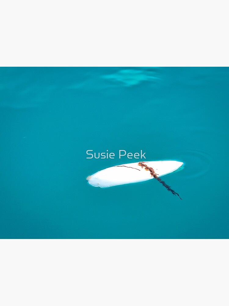 "Floating Cuttlefish Bone with Trailing Seaweed" Art Print for Sale by ...