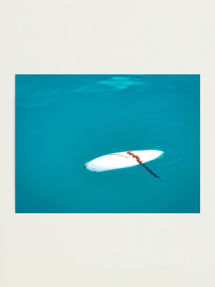 "Floating Cuttlefish Bone with Trailing Seaweed" Photographic Print for ...