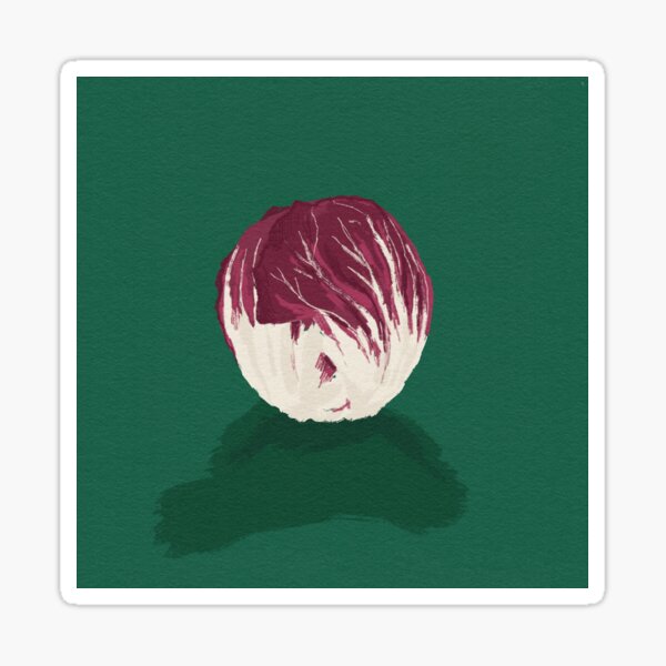 "Red Cabbage Drawing" Sticker for Sale by aardestudio | Redbubble