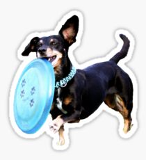 Ultimate Frisbee: Stickers | Redbubble