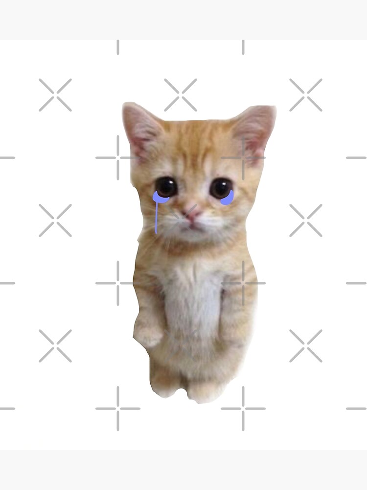 "El Gato Cat Crying" Poster for Sale by qraphs | Redbubble