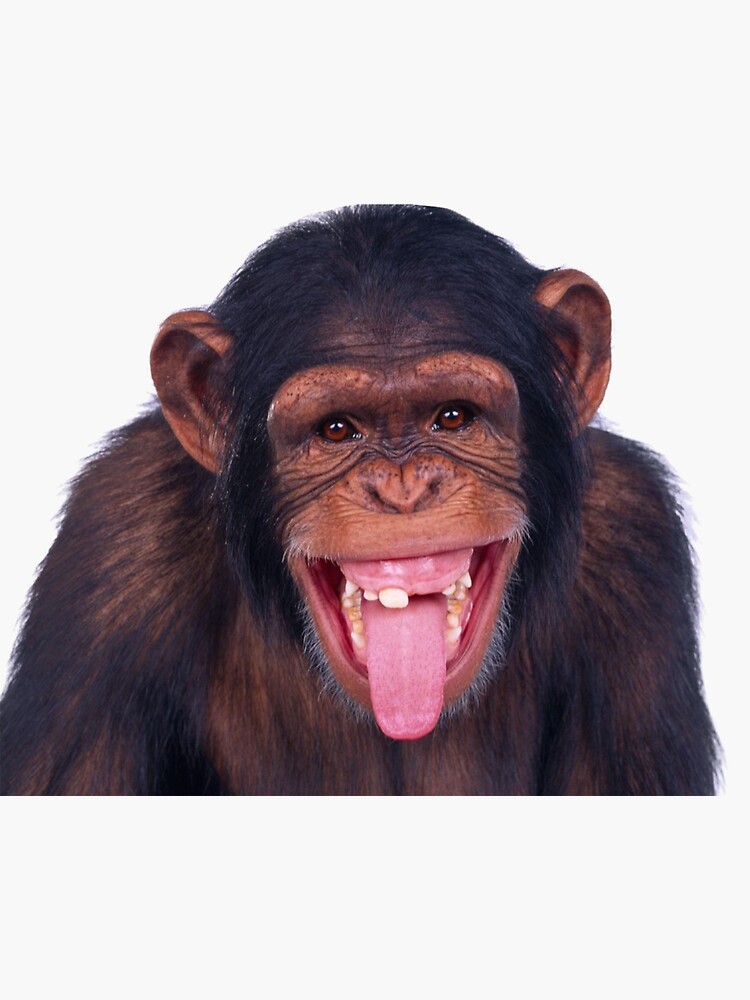 "Hi Monkey" Sticker for Sale by ArtButiqe | Redbubble