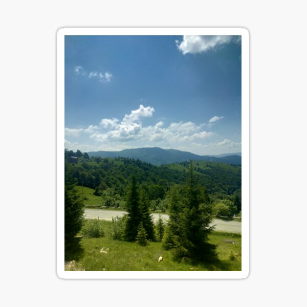 "Forest Road" Sticker for Sale by Simka-kat | Redbubble