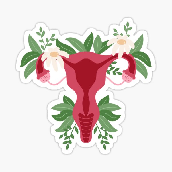 "Uterus series" Sticker for Sale by MedCreativity | Redbubble