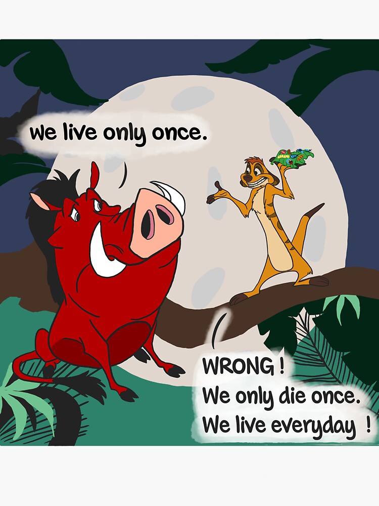 "Timon & Pumba" Sticker for Sale by HERSHE5 | Redbubble