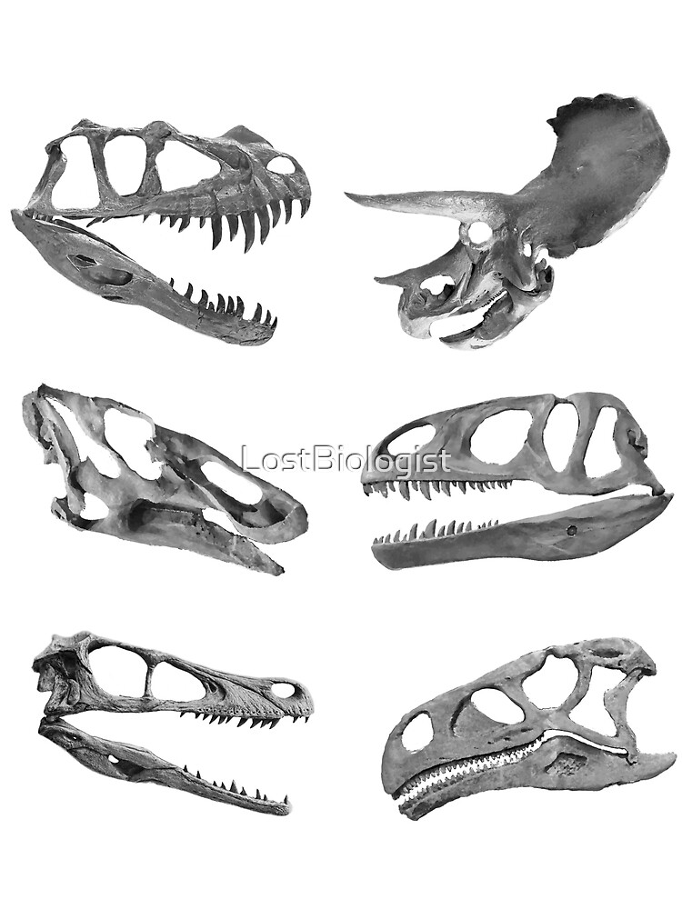 Dinosaur Skull Doodle offers High