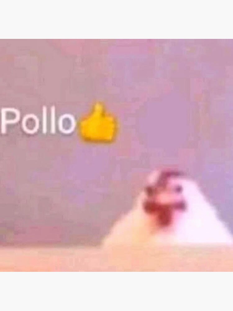 Pollo Meme