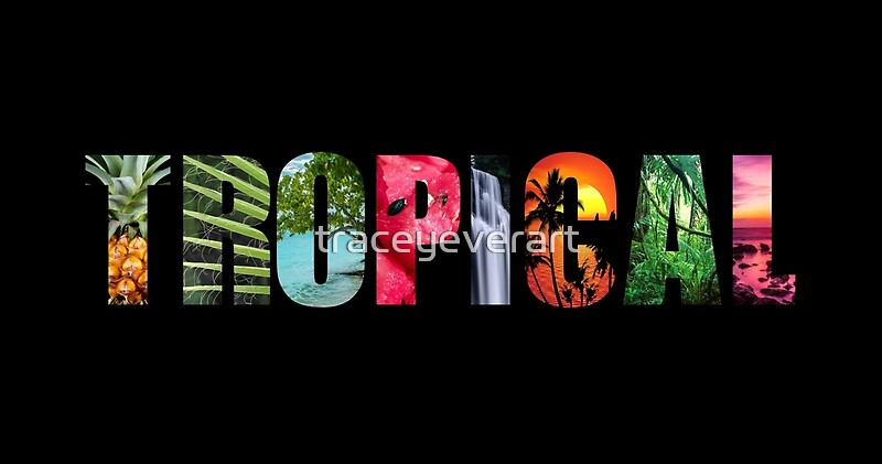"Tropical typography letters" by traceyeverart | Redbubble