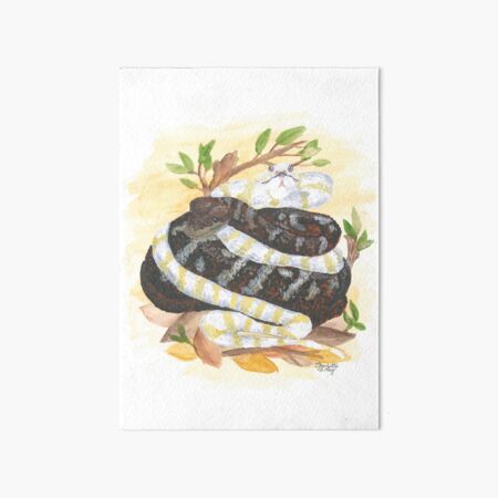 "Carpet Pythons" Art Board Print for Sale by wonkiekneeart | Redbubble