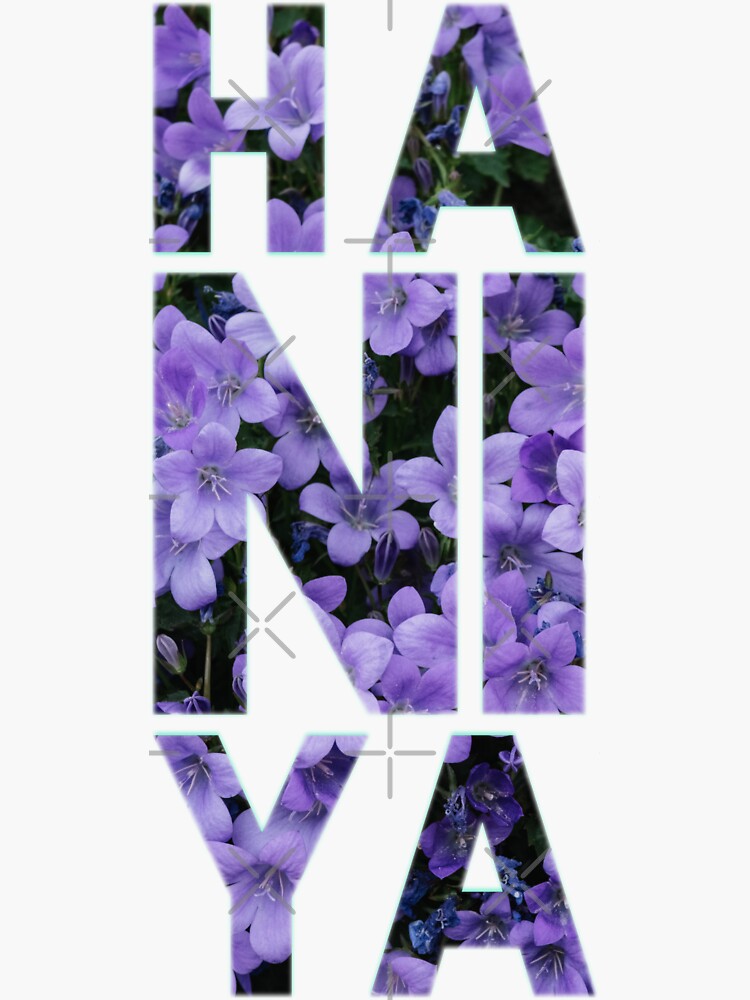 "Haniya Name in Violet (Happiness)" Sticker for Sale by HijabieUkhty ...