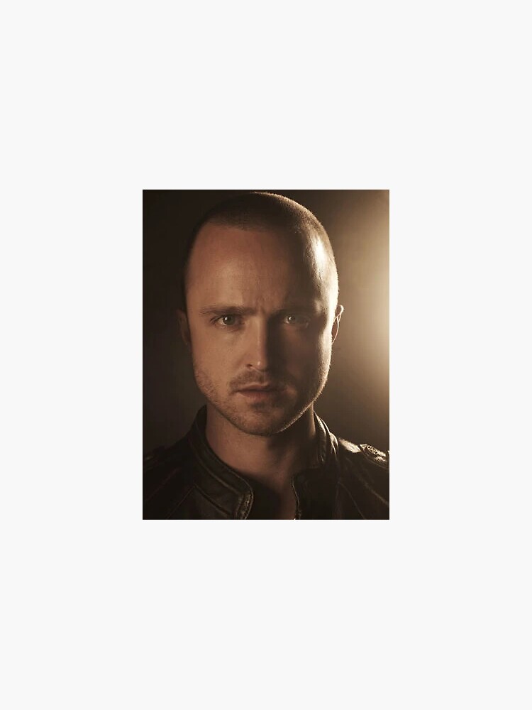 Jesse Pinkman Sticker For Sale By Fedoraboss Redbubble